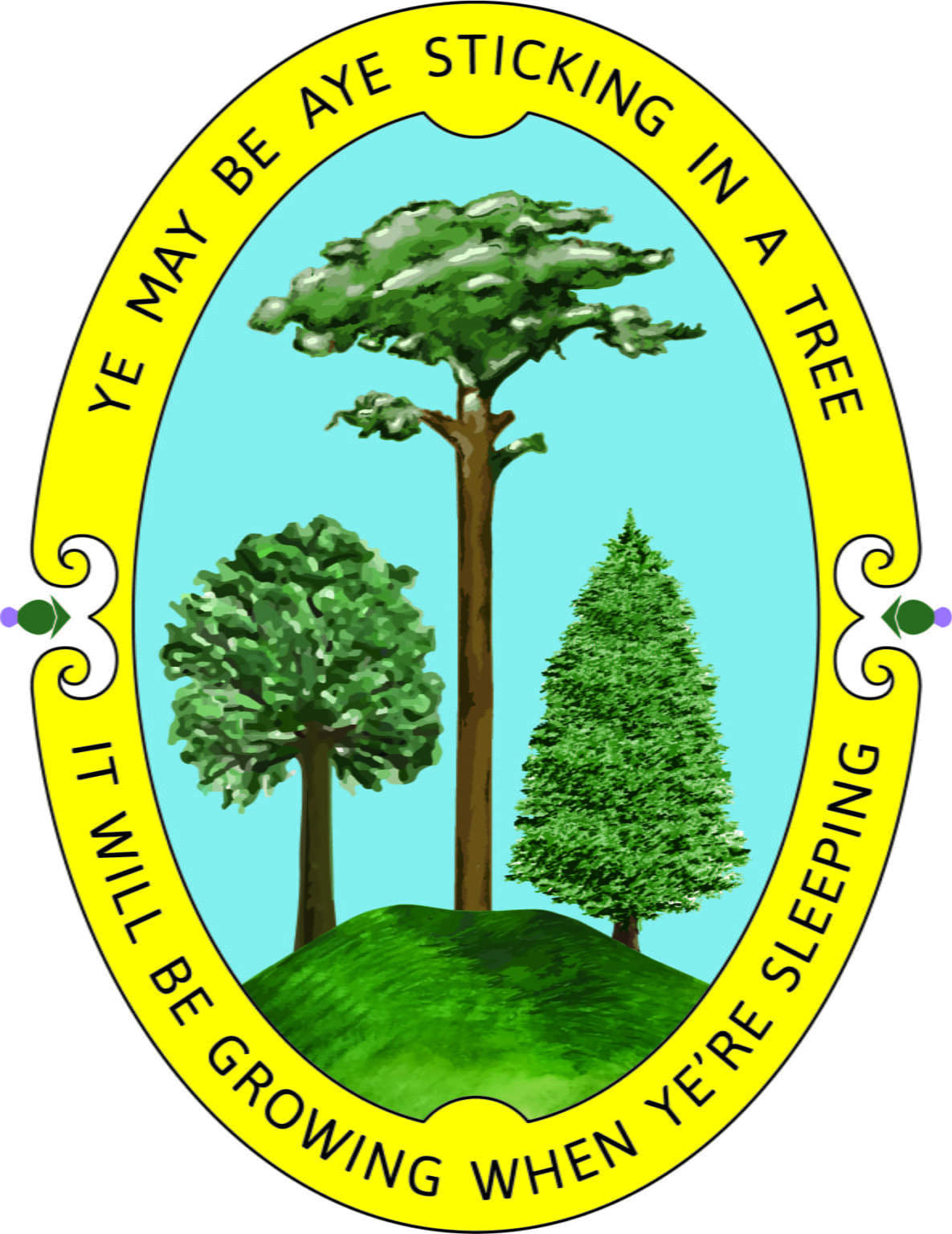 How to Check for Tree Preservation Orders and Conservation Areas ...