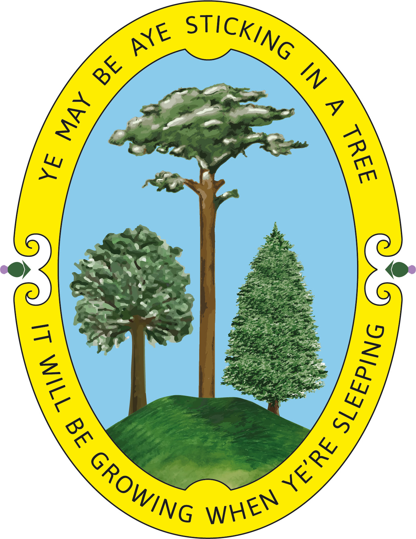 How to Check for Tree Preservation Orders and Conservation Areas ...