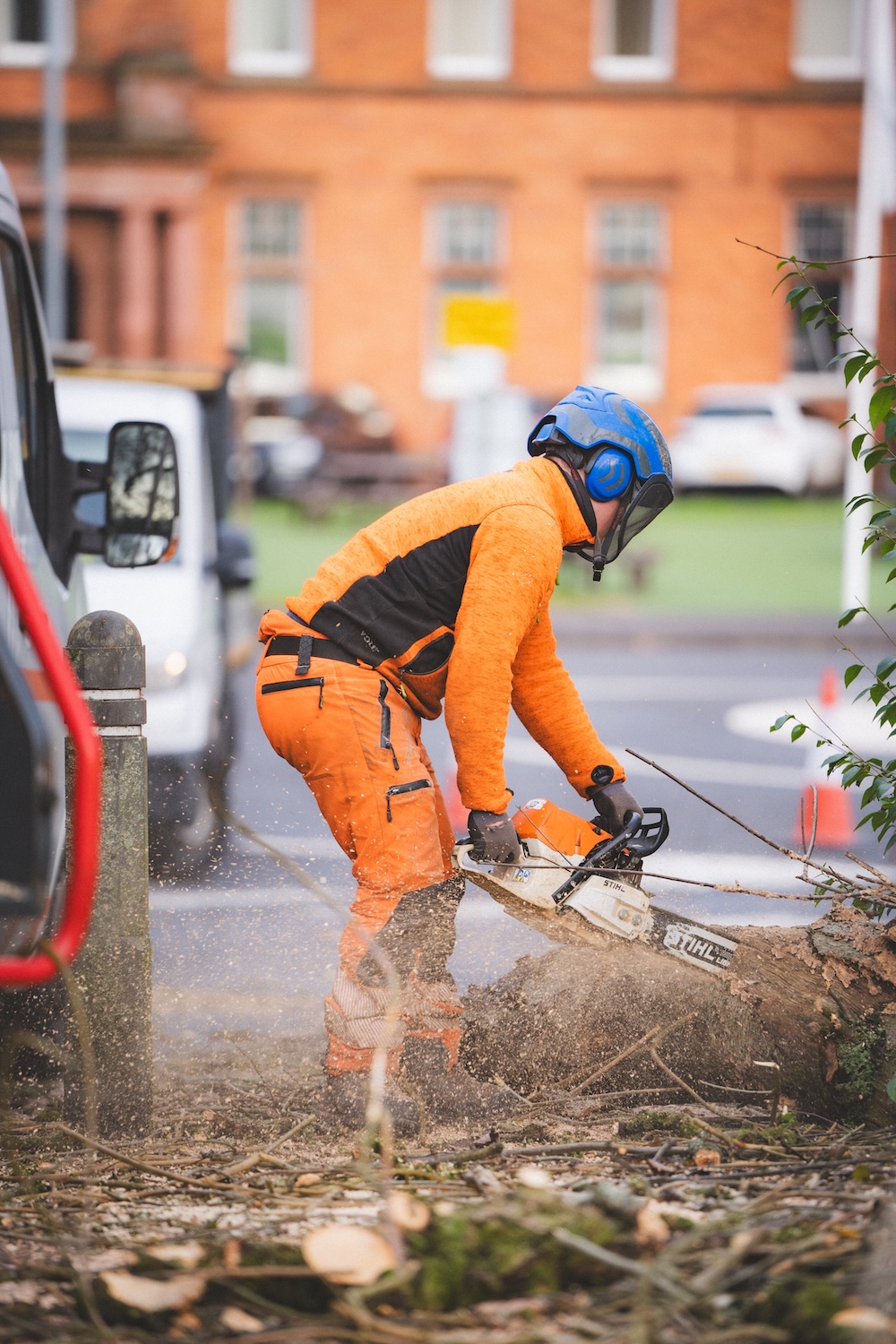 Do I Need Permission for Dead Wood Removal or Carry Out Crown Clearing ...